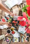 A Deep Dive Into Planting And Growing Healthy, Juicy Tomatoes