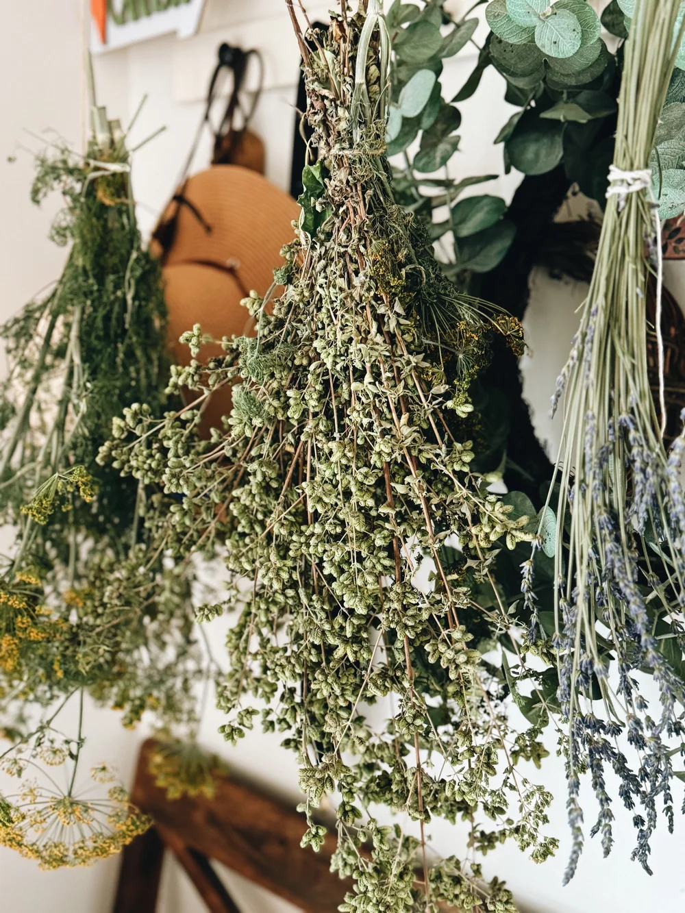 How To Grow Oregano In Your Own Backyard (Or Patio)