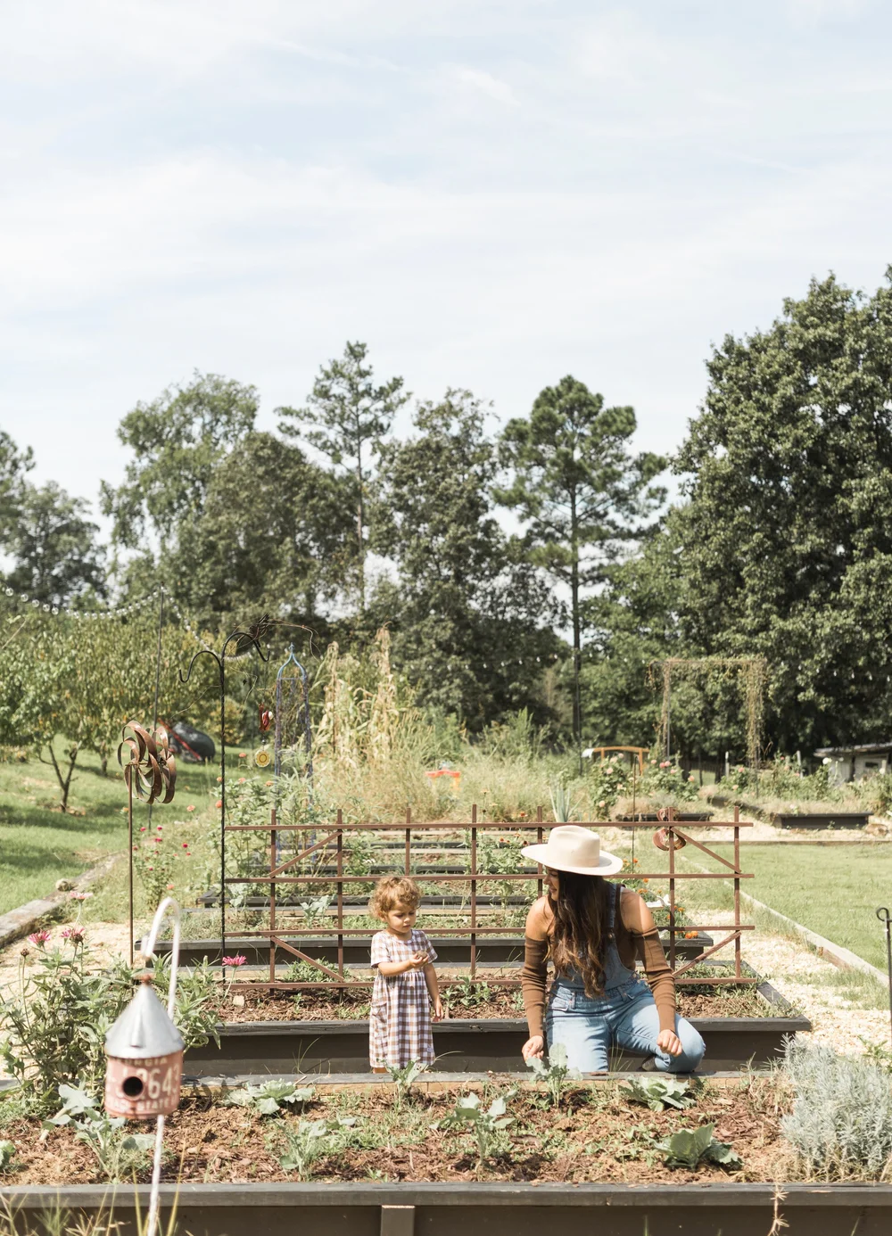 Direct Sowing In Ten Steps And An Outdoor Seed - Azure Farm