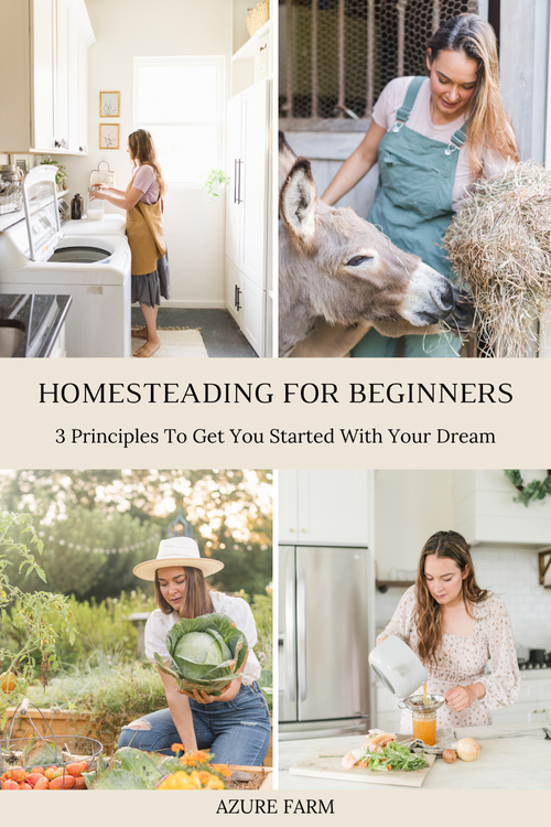 Homesteading For Beginners