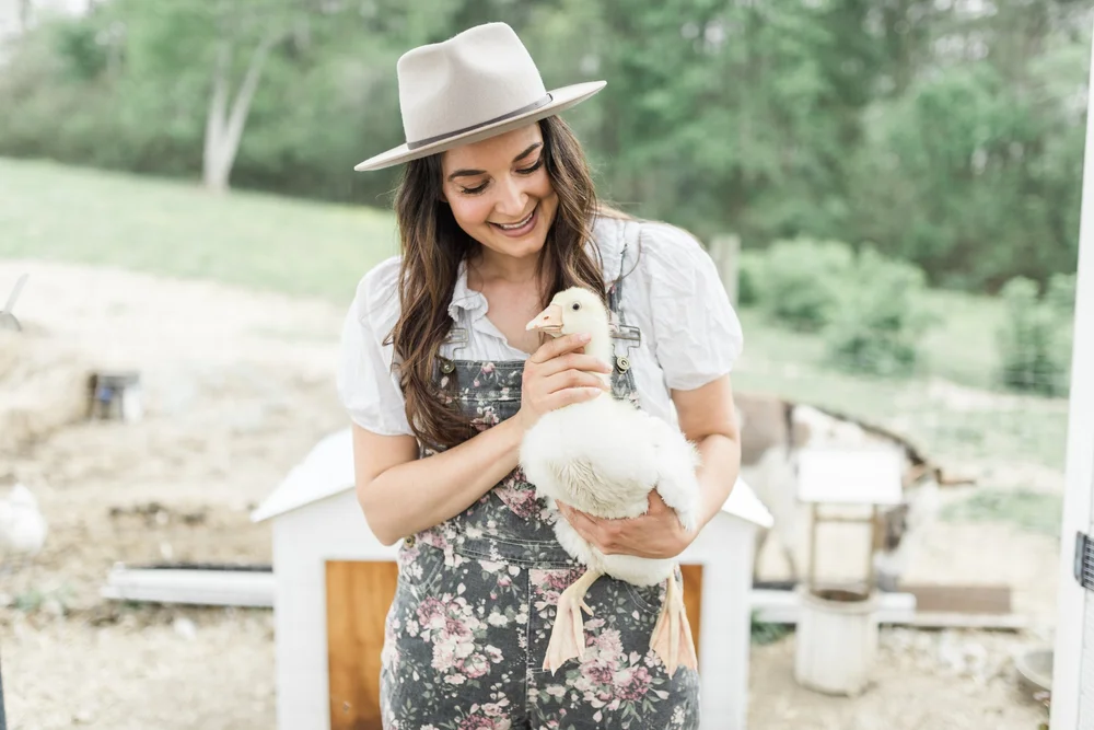 Everything You Need To Know On How To Raise Happy Ducks!