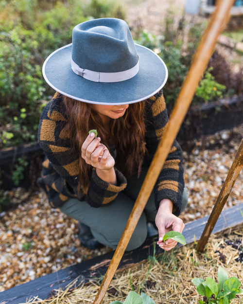 Winter Greens: Planting for Cold-Weather Harvests - Azure Farm