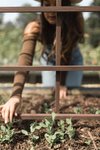 Direct Sowing In Ten Steps And An Outdoor Seed - Azure Farm