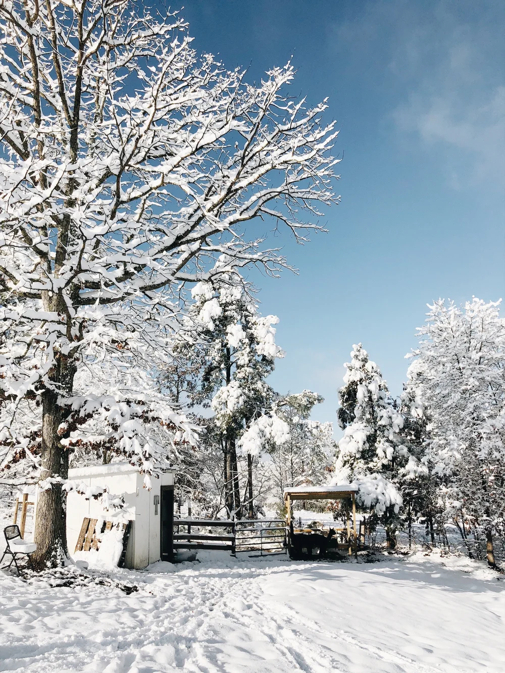 22 winter homesteading chores to keep things running smoothly - Azure Farm