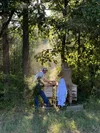 An Intro to Beekeeping: What We Have Learned!