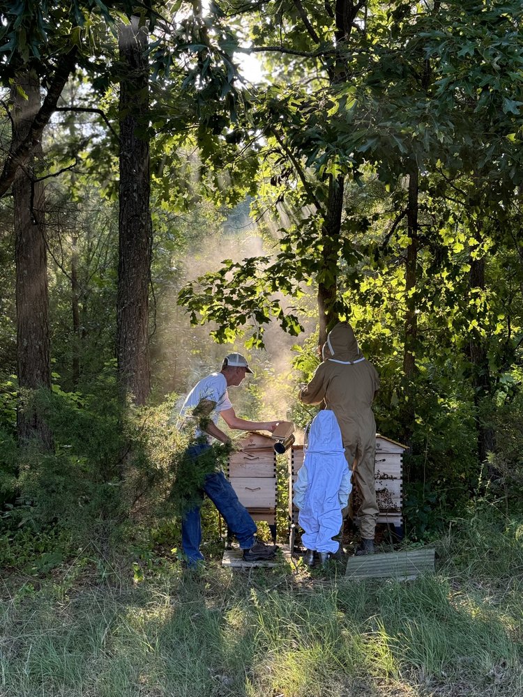 An Intro to Beekeeping: What We Have Learned!