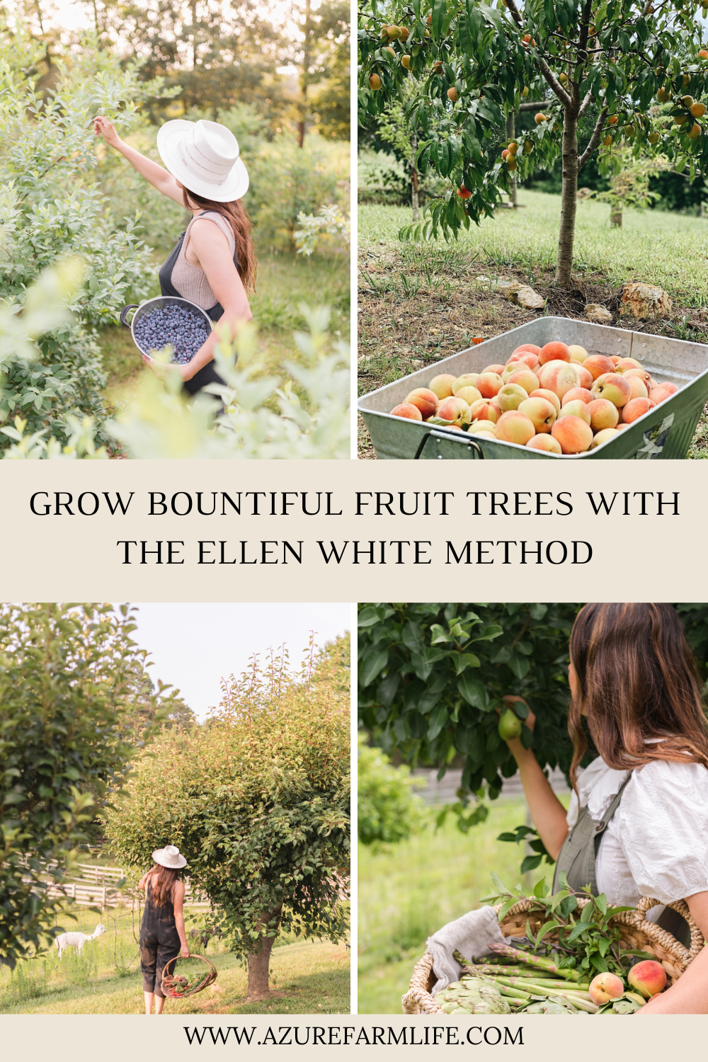 Tips for the Ellen White Tree Planting Method - Azure Farm