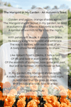 Sharing A Cozy Fall Moment With A DIY Marigold Wreath