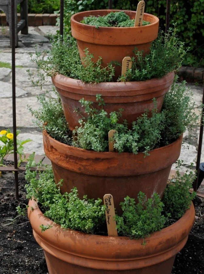 Creative Ideas for Vertical Gardening and Planting