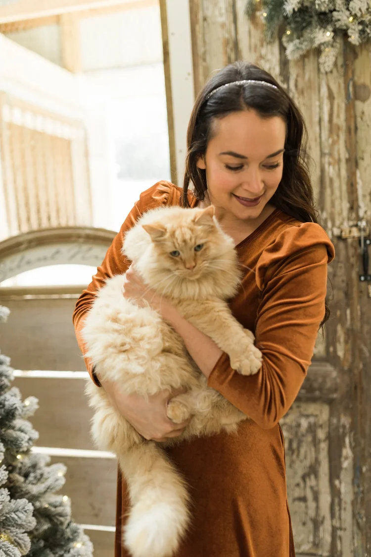 How to Raise Barn Cats