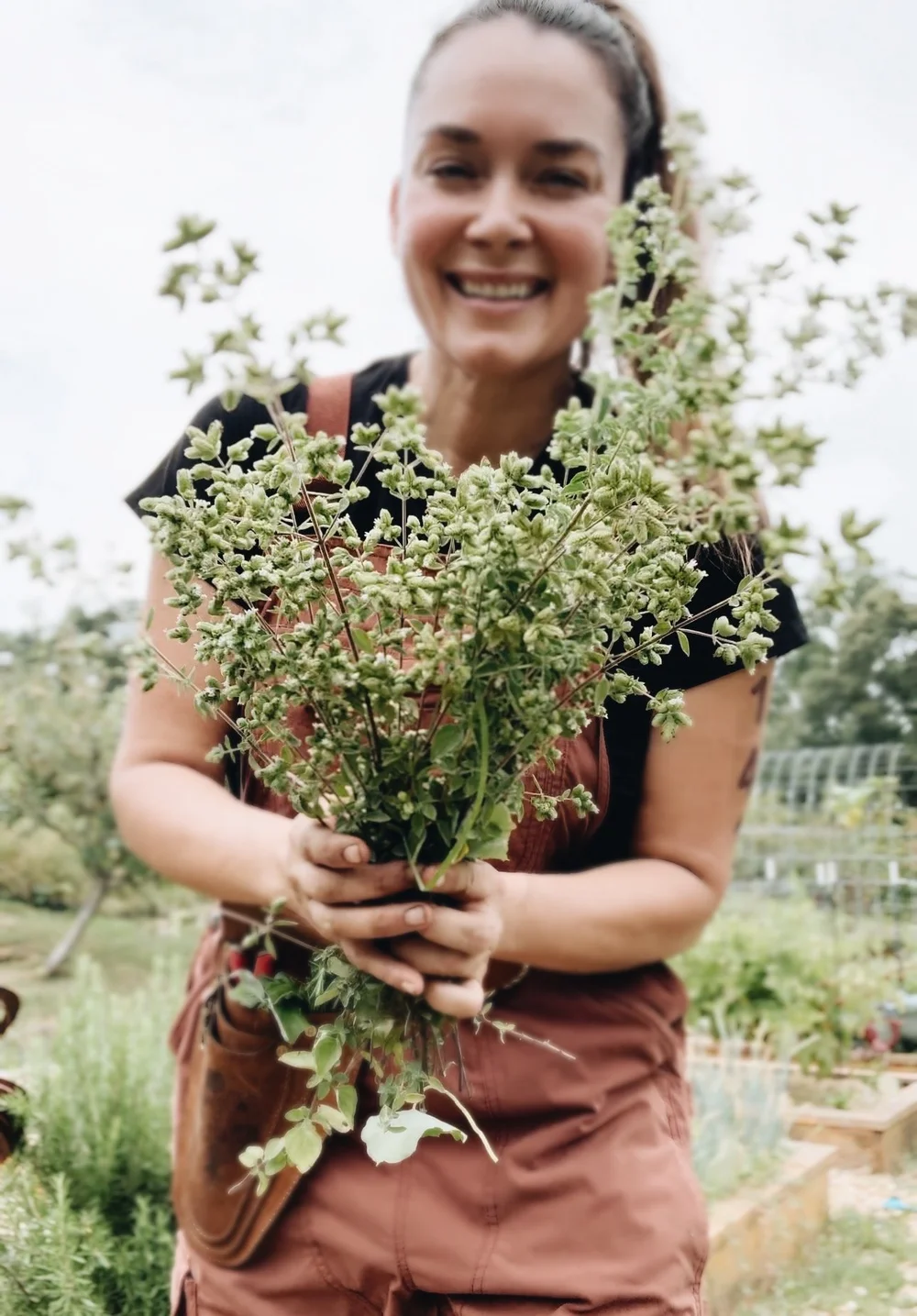 How To Grow Oregano In Your Own Backyard (Or Patio)