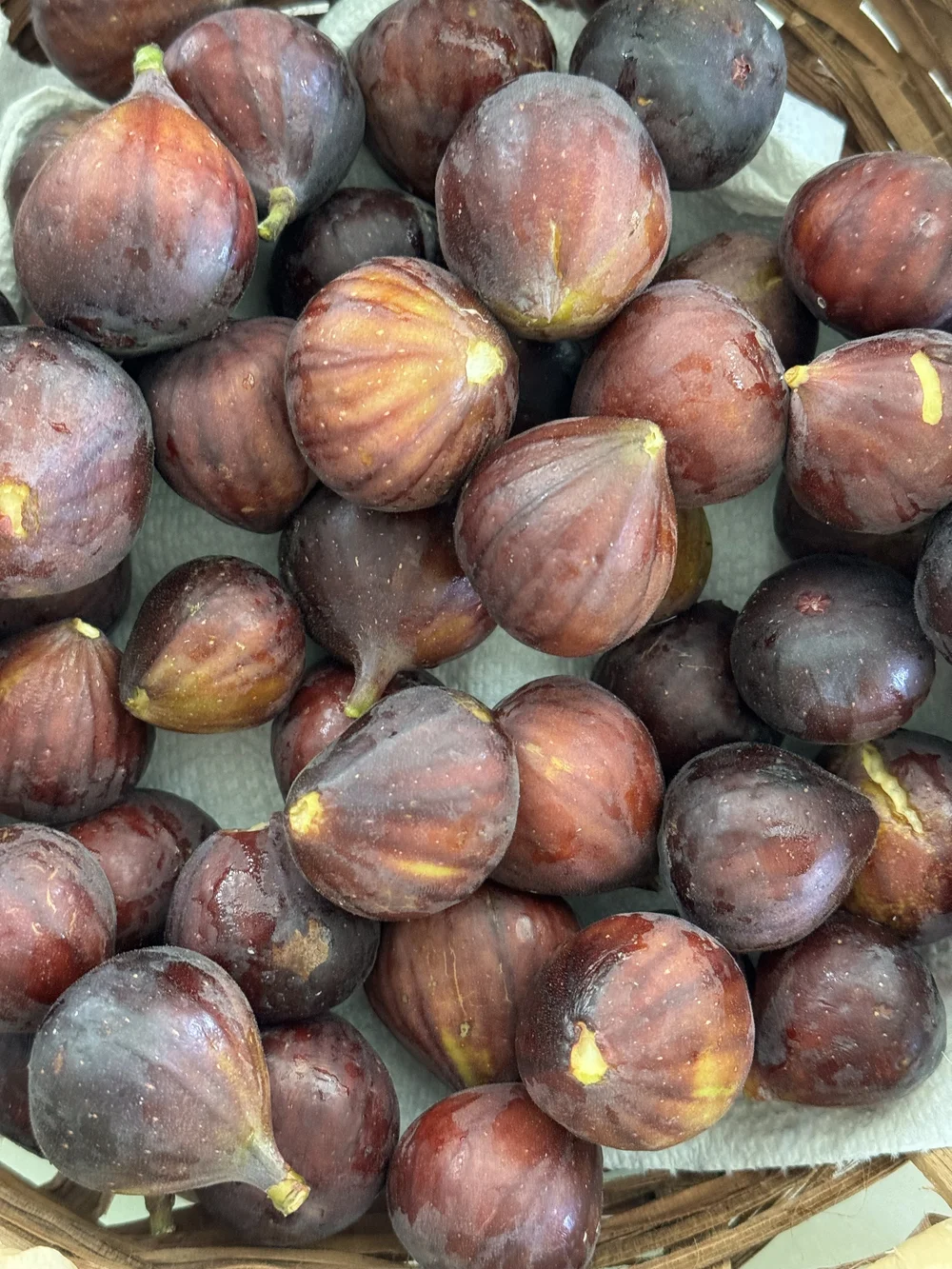 A Beginner's Guide To Growing Figs: From Planting To Harvesting