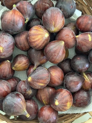 A Beginner's Guide To Growing Figs: From Planting To Harvesting