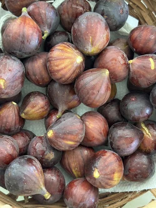 A Beginner's Guide To Growing Figs: From Planting To Harvesting