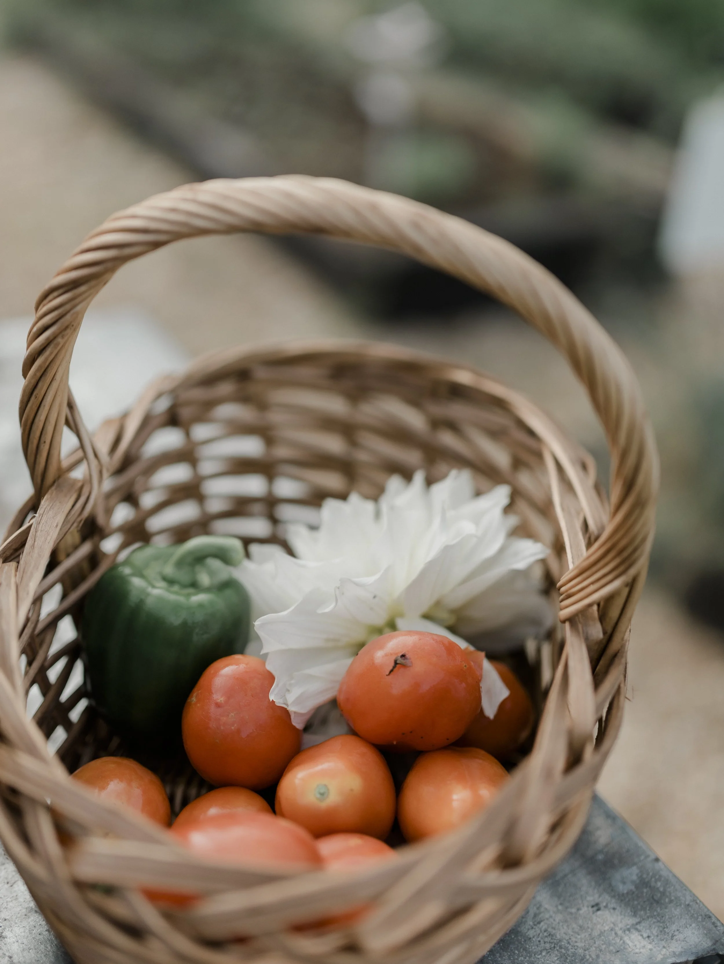 Easy Grow Summer Veggies for Your Garden