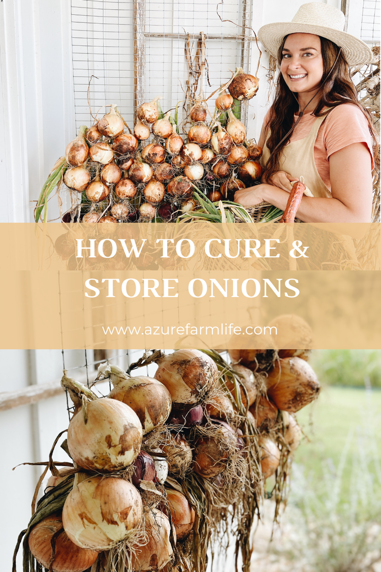 How To Cure And Store Onions To Enjoy Them For Months To Come