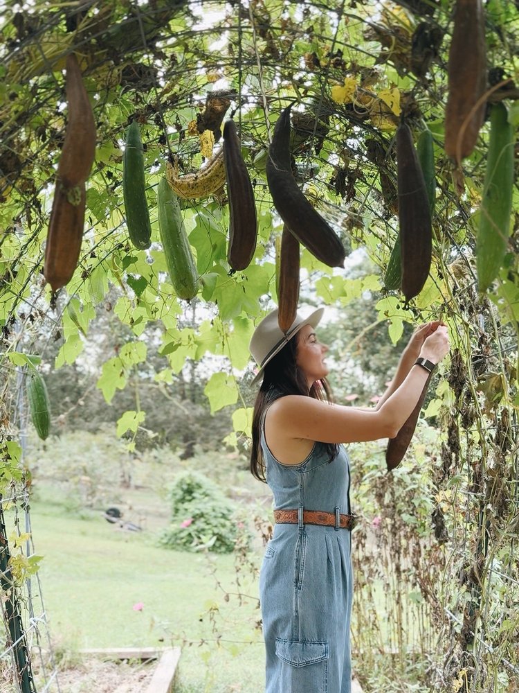 How To Grow and Make Your Own Luffa Sponges