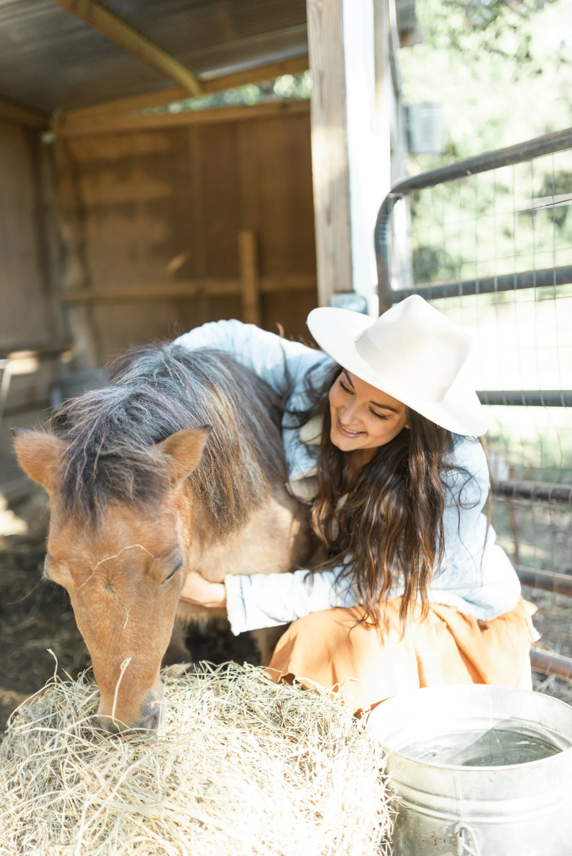 A beginners guide to caring for donkeys - all you need to know - Azure Farm