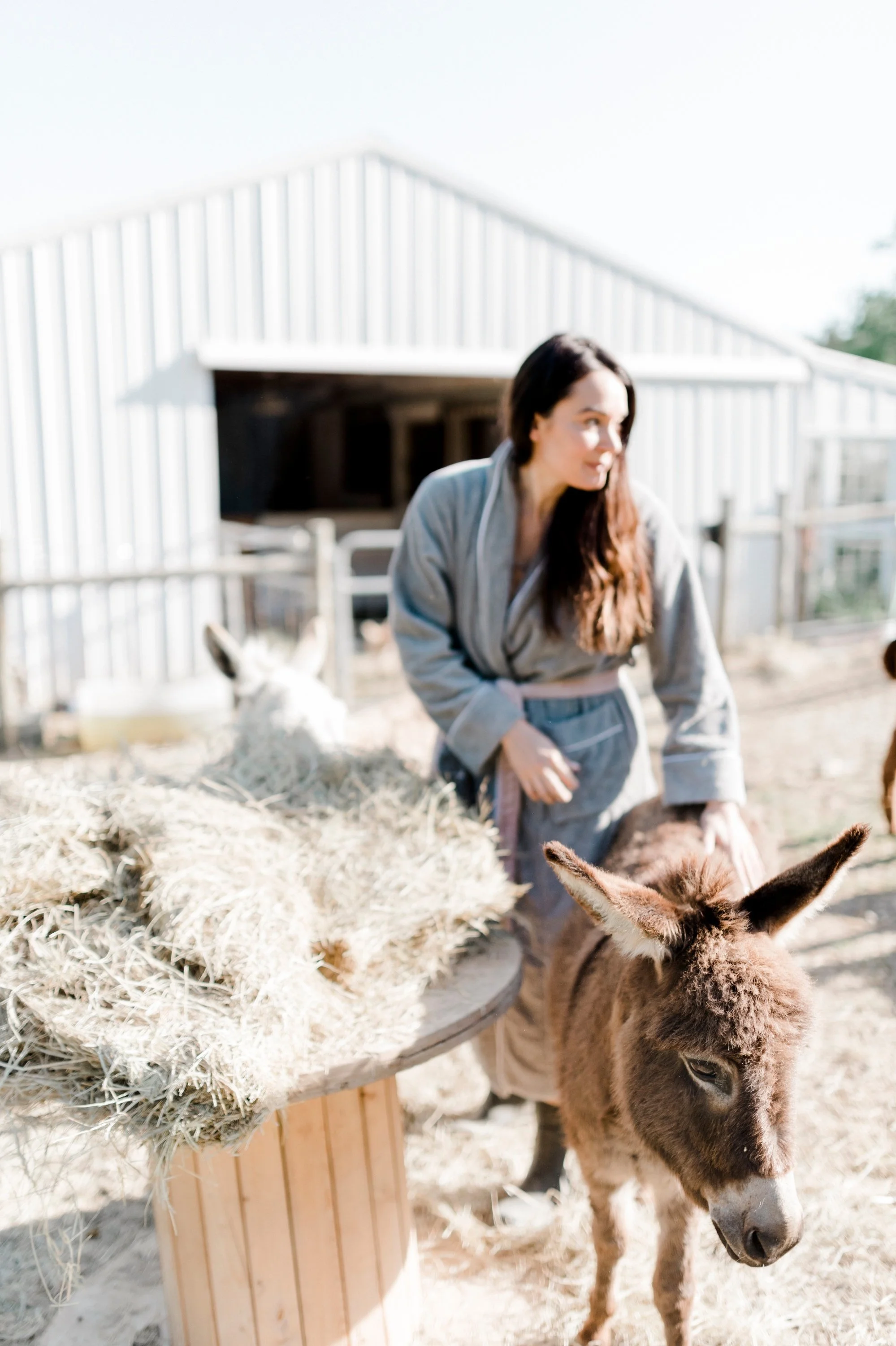 ABOUT | Homesteading