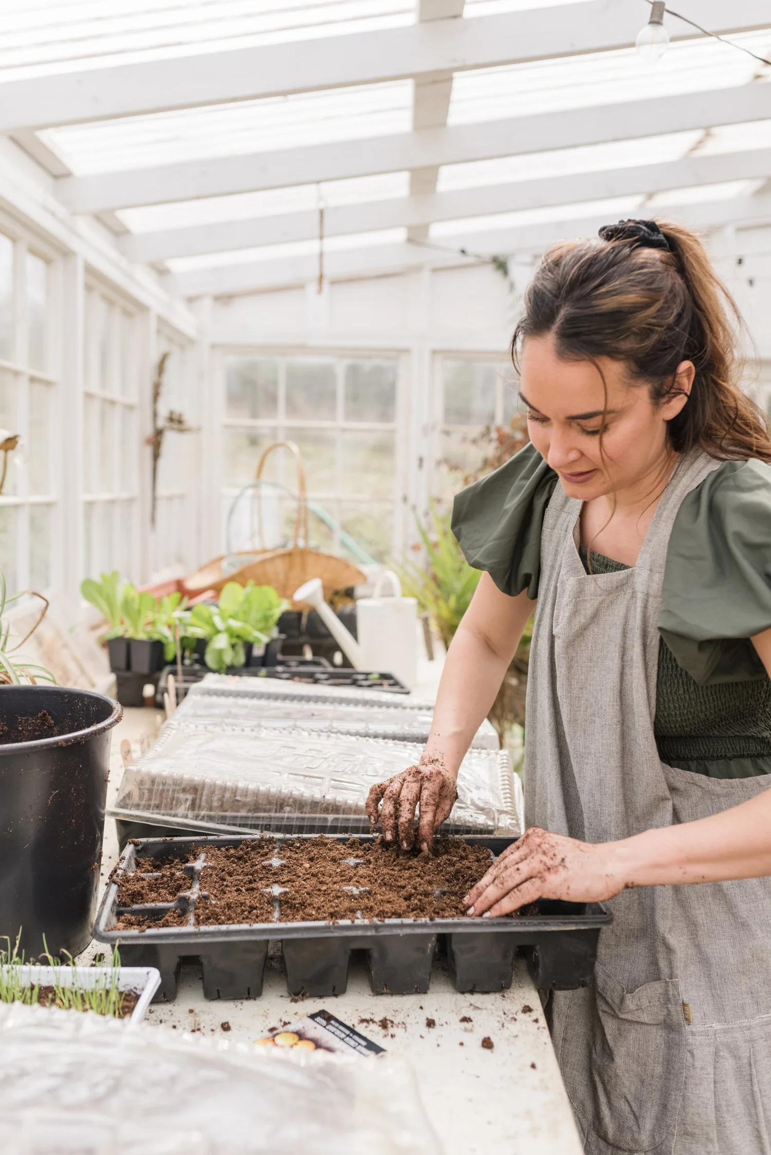 Understand when to Harvest Broccoli and How To Grow It Easily. - Azure Farm