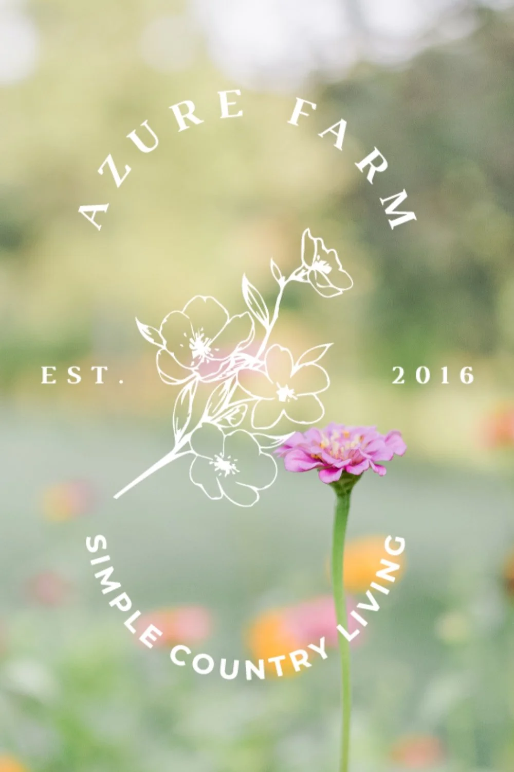 ABOUT | Homesteading