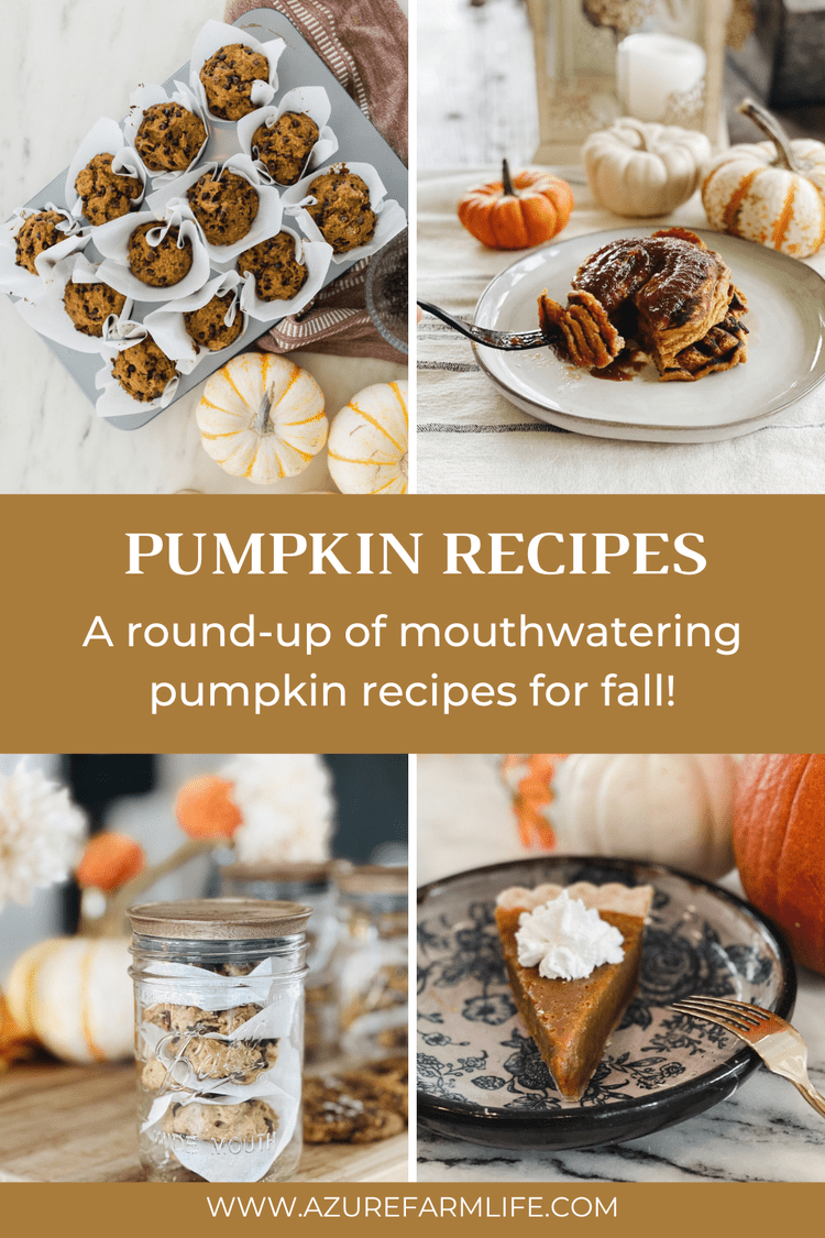 6 Cozy Pumpkin Recipes to Celebrate Fall