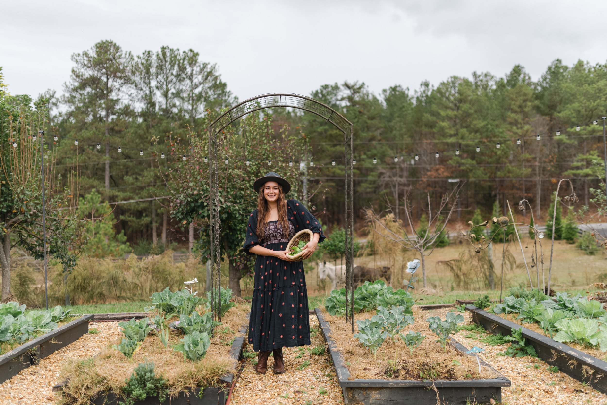 What We Are Planting In 2023 and Your Gardening Questions Answered ...