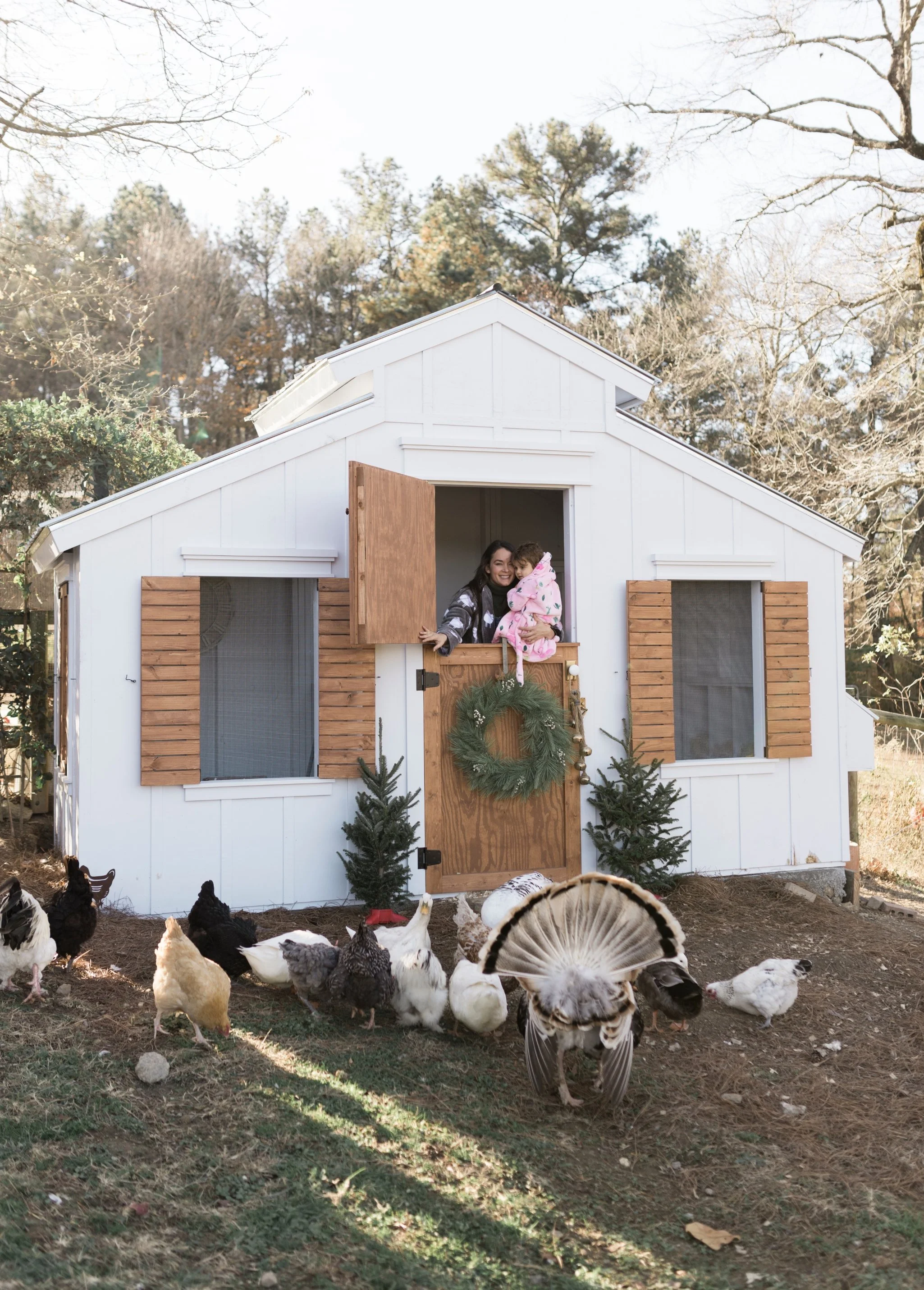 Choose the Best Chicken Breeds for Your Backyard - Azure Farm