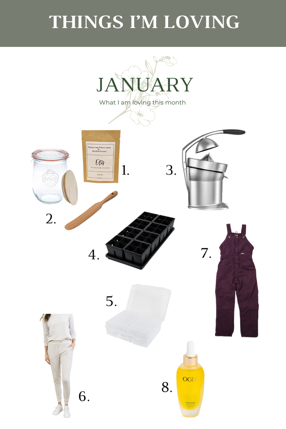 What I Am Loving This Month - January