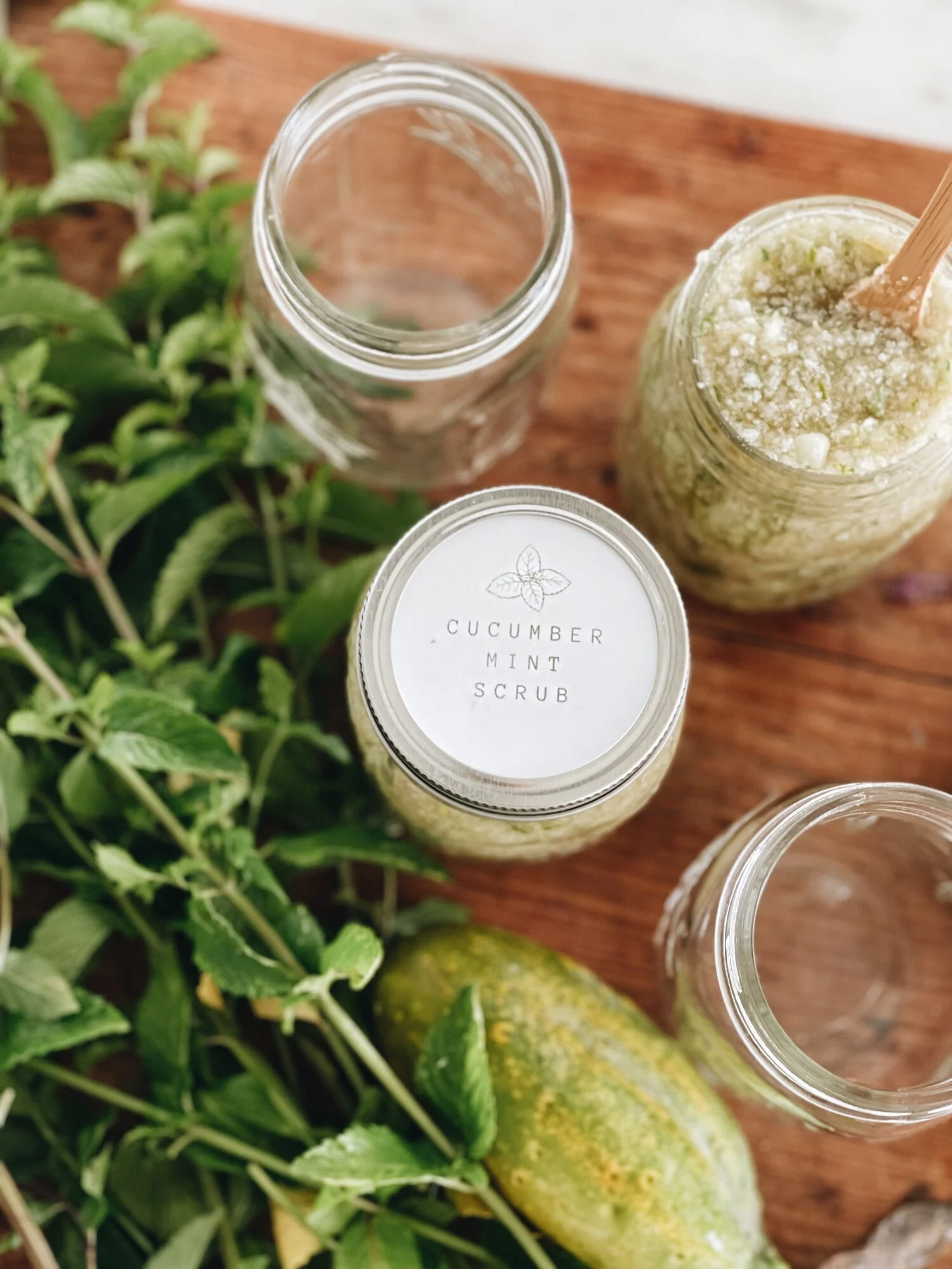 A Complete Guide To Growing Your Own Mint - Azure Farm