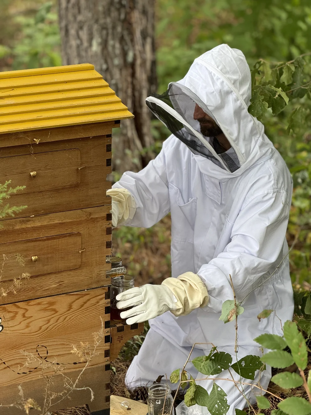 An Intro to Beekeeping: What We Have Learned!