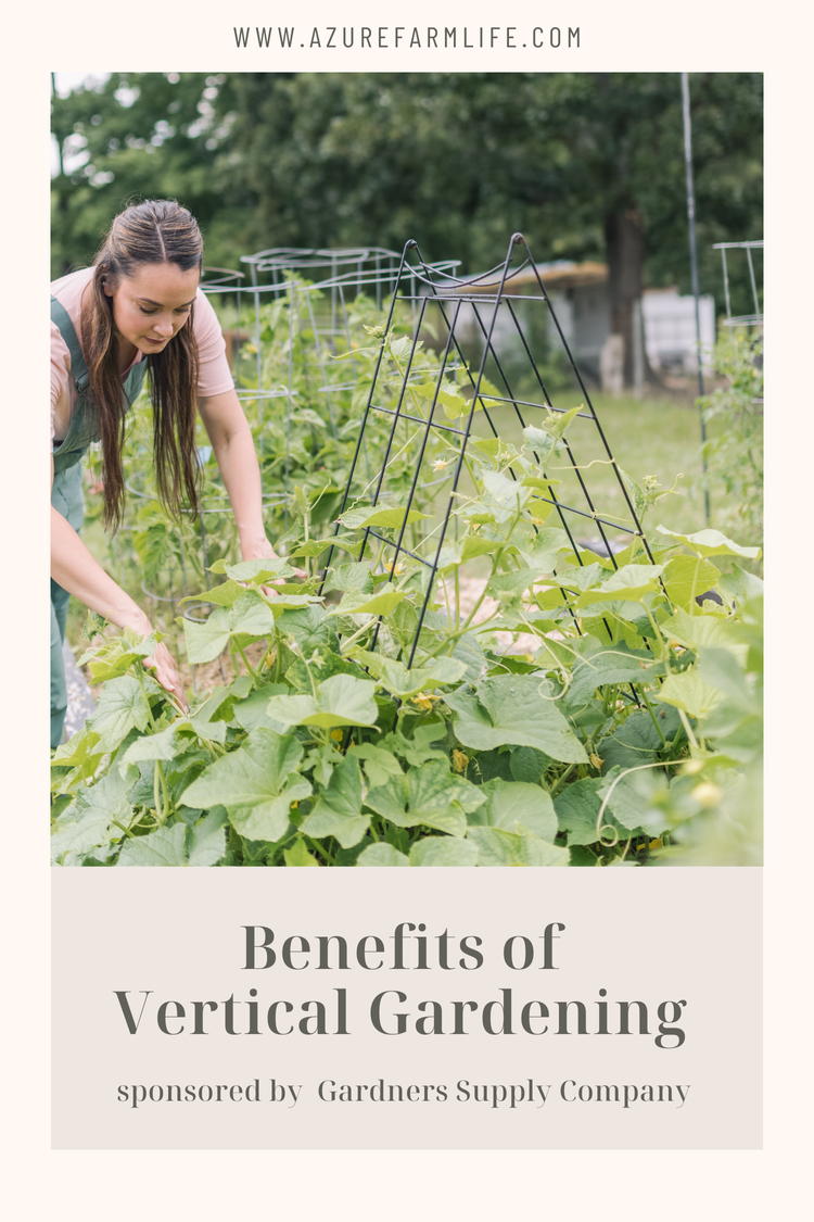 Creative Ideas for Vertical Gardening and Planting