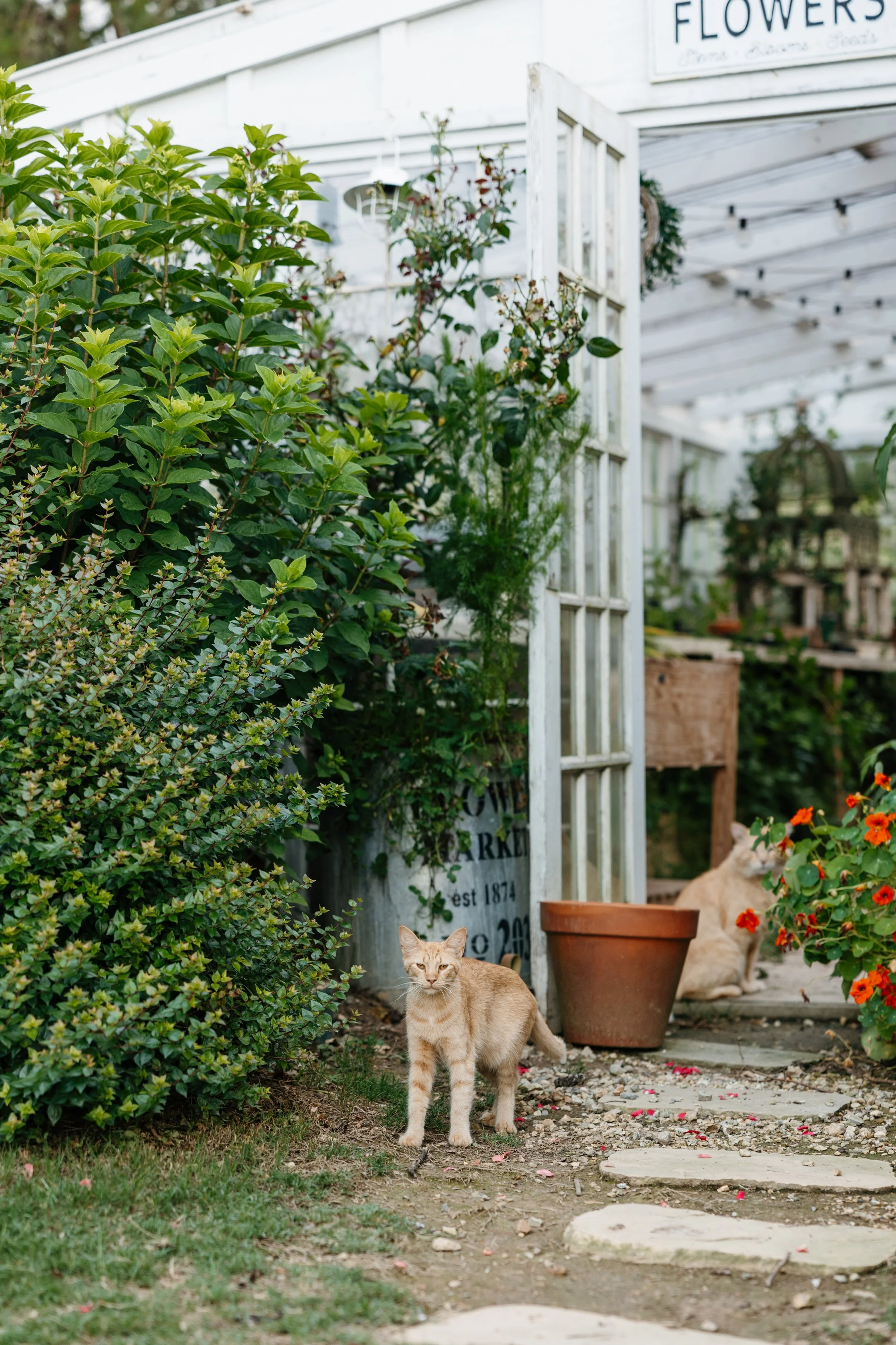 7 Life Lessons You Can Learn From The Garden