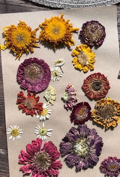 A DIY Summer Activity Making Gorgeous Dried Flower Art