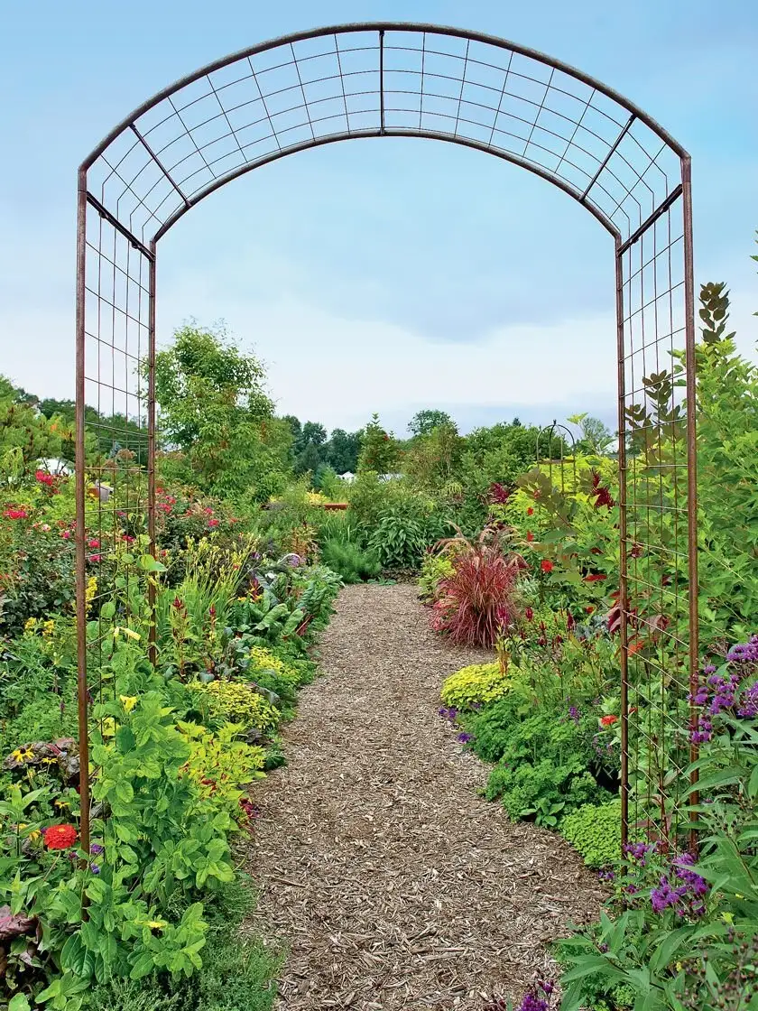 Creative Ideas for Vertical Gardening and Planting