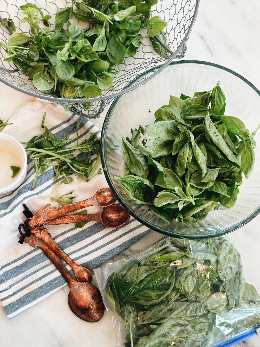 Easily Grow Your Own Basil With These Tips!