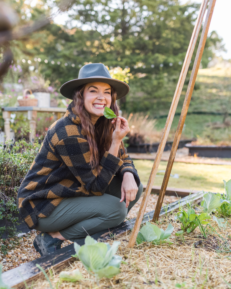 Winter Greens: Planting for Cold-Weather Harvests - Azure Farm