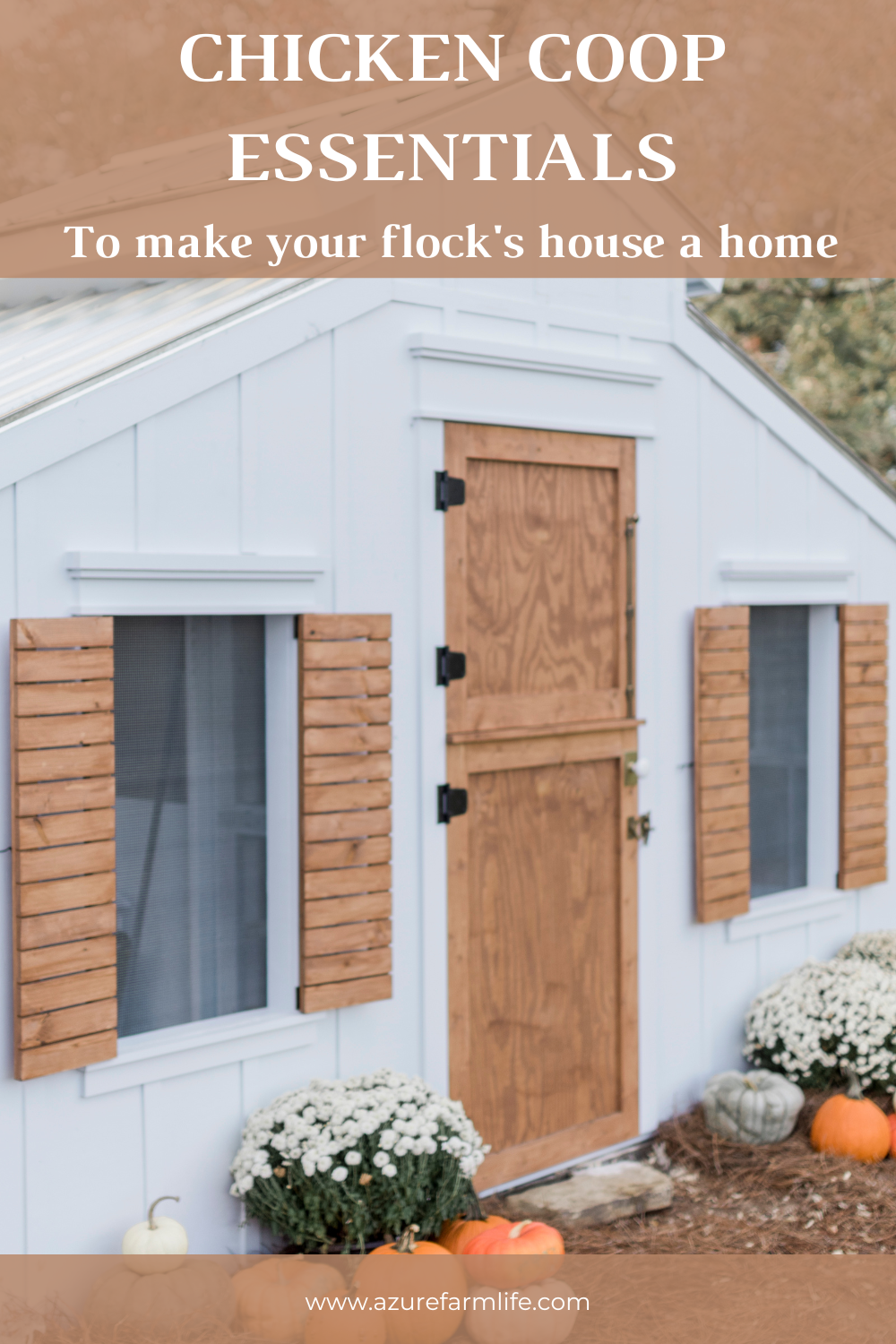 What Should Be Inside A Chicken Coop? The Essentials To Make Your Flock ...
