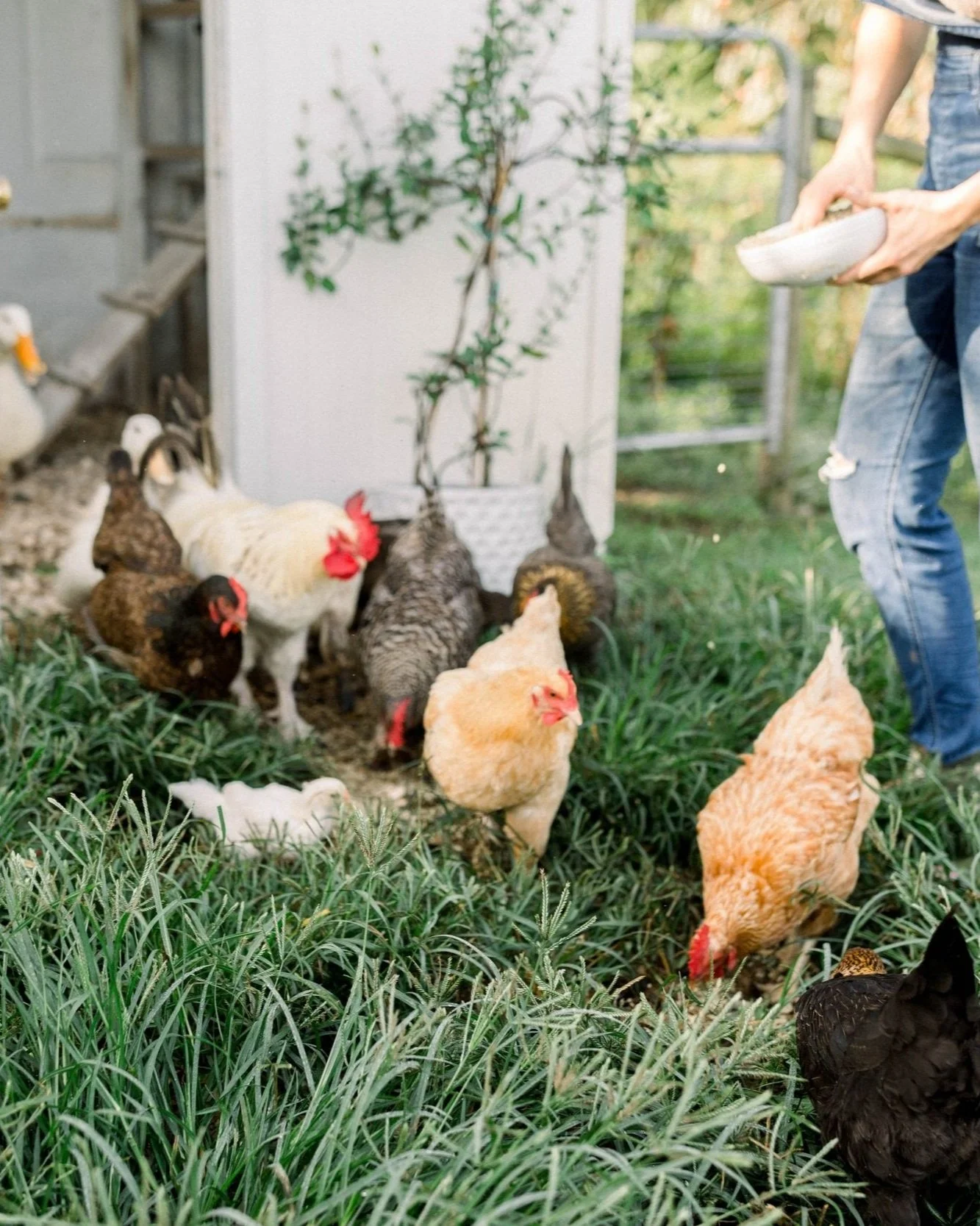 HOME | Country & Simple Living