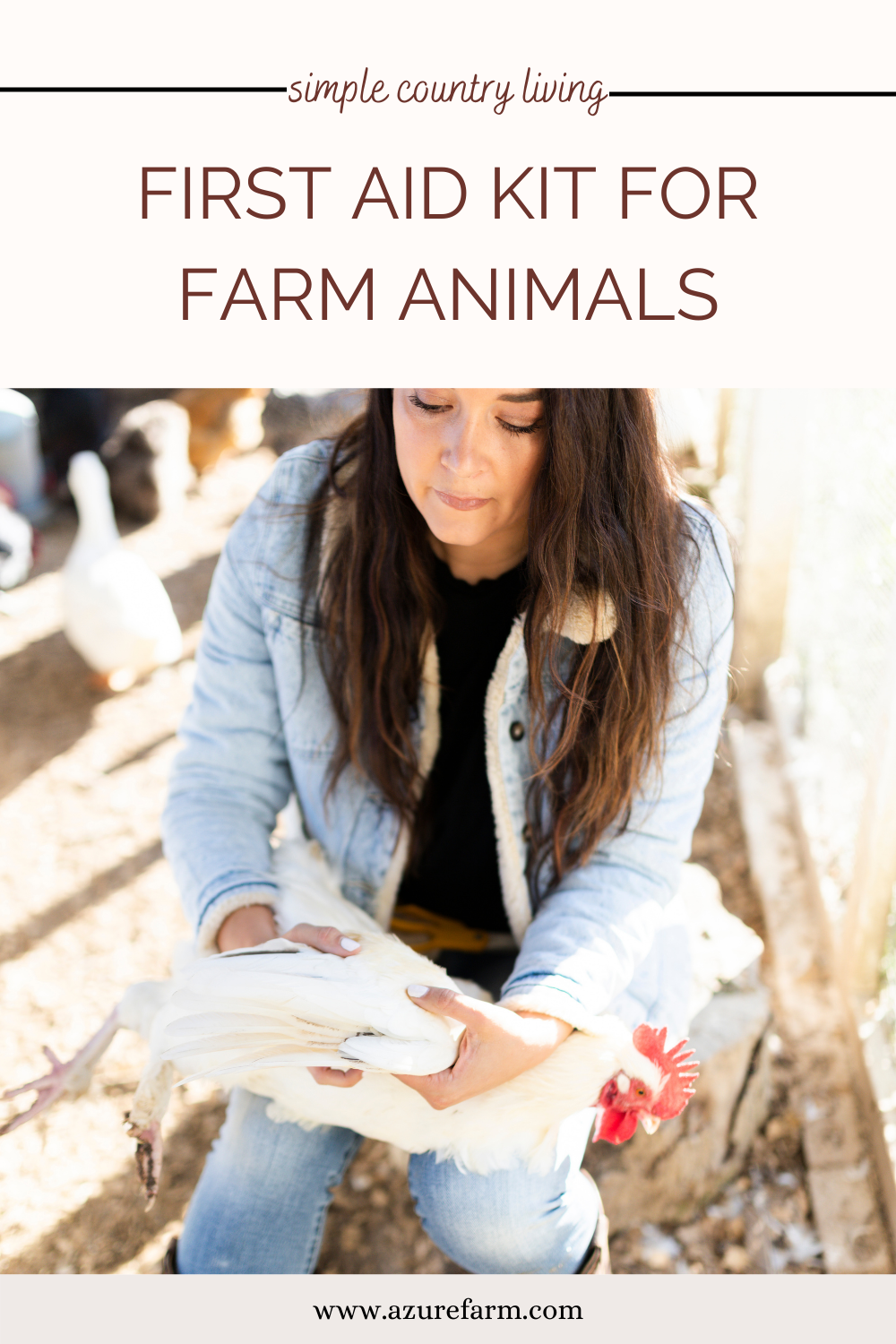 Items For Your First-aid Kit For Animals