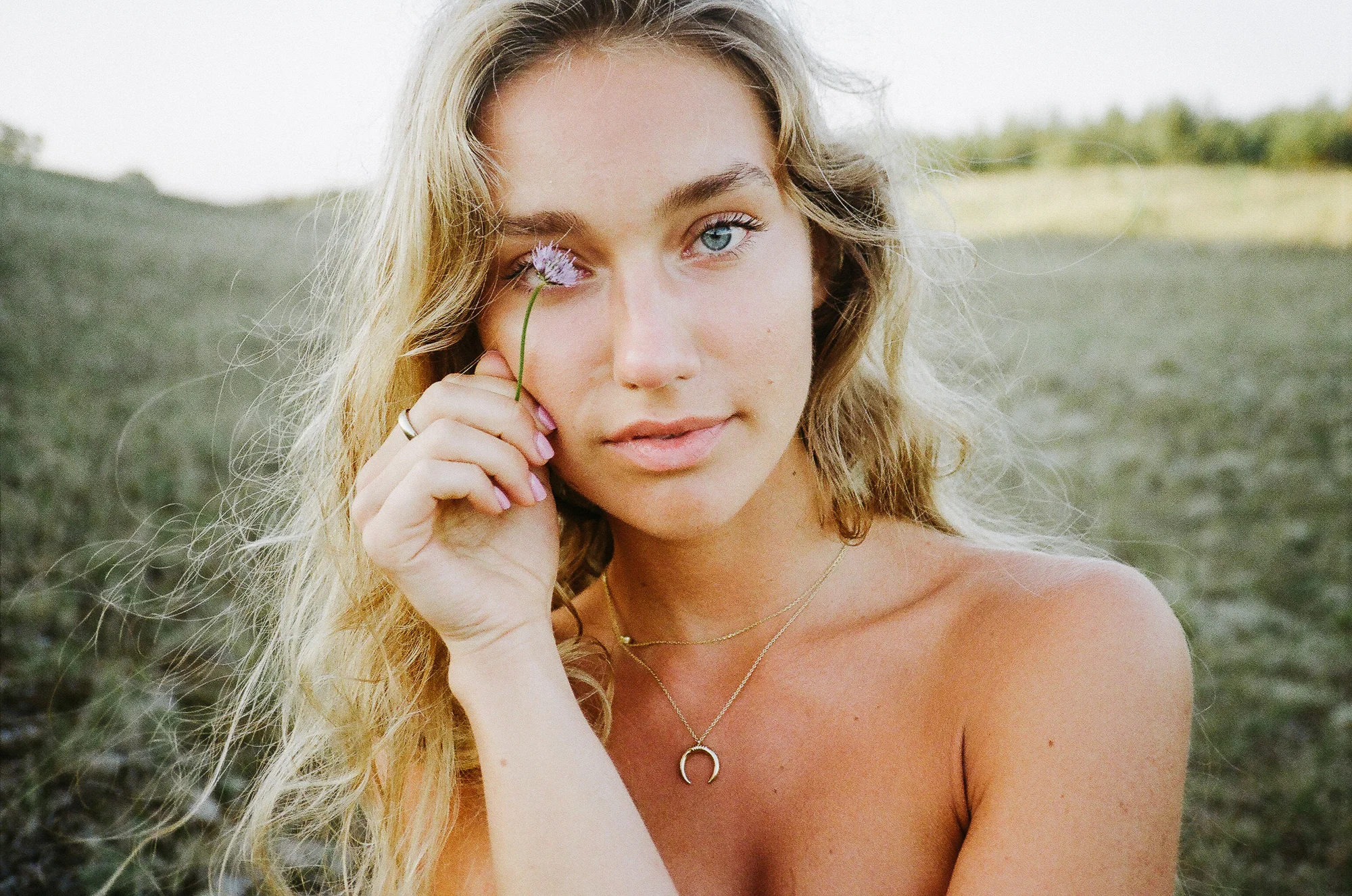 Guste — Sciuka Studio