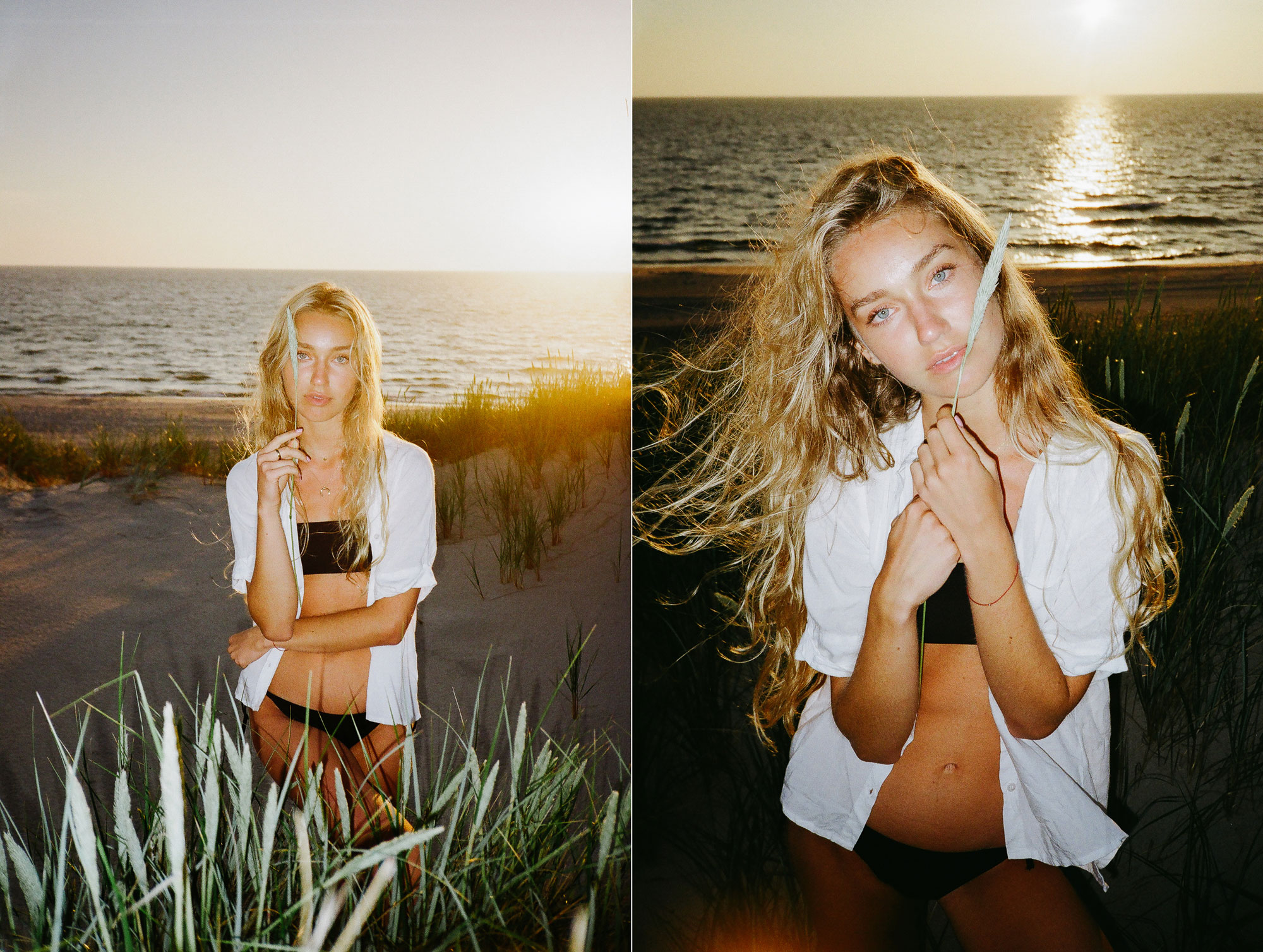 Guste — Sciuka Studio