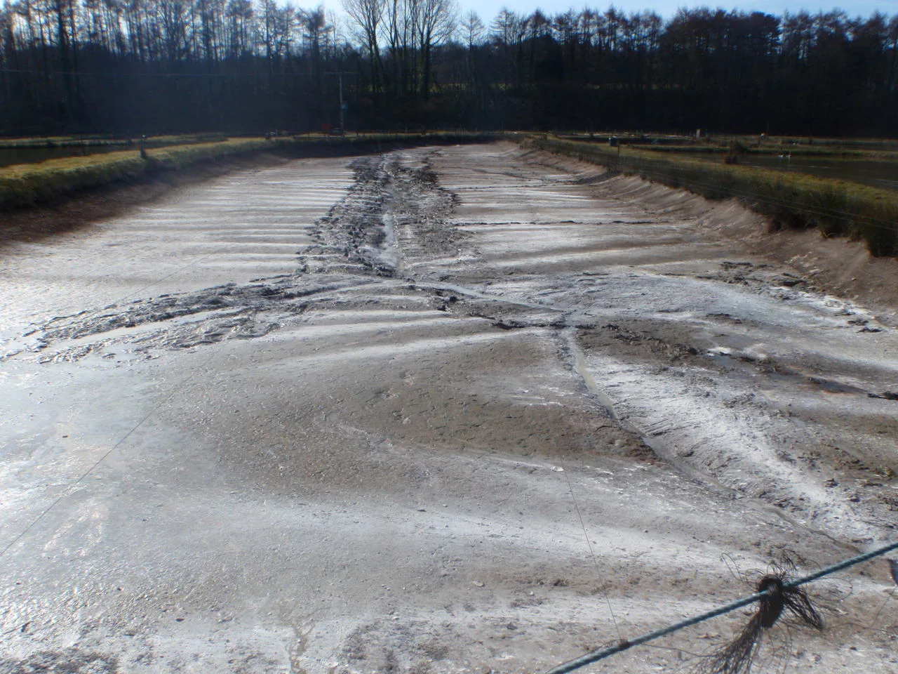 Our Fish Farm - Bowlake Fish Farm — Hampshire Carp Hatcheries
