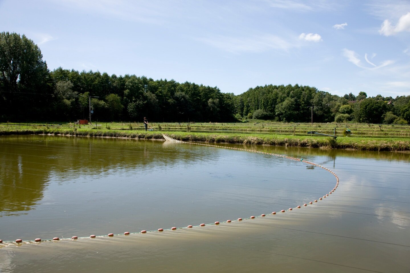 Our Fish Farm - Bowlake Fish Farm — Hampshire Carp Hatcheries