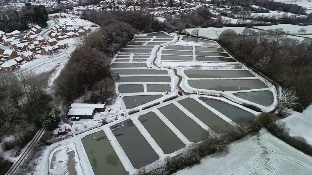 Fish Carp Hatchery at Will Cornish blog