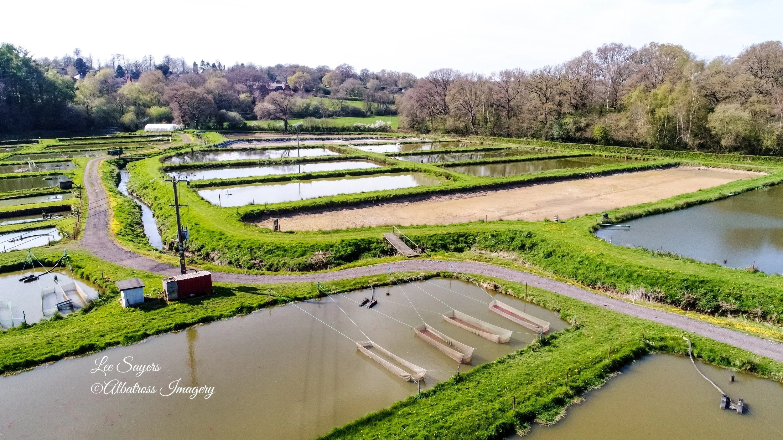 Hampshire Carp Hatcheries - Quality British Fish Farmers