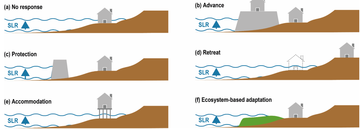 Adaptive Measures for Increasing Sea Level Rise in Vietnam — Lotus ...