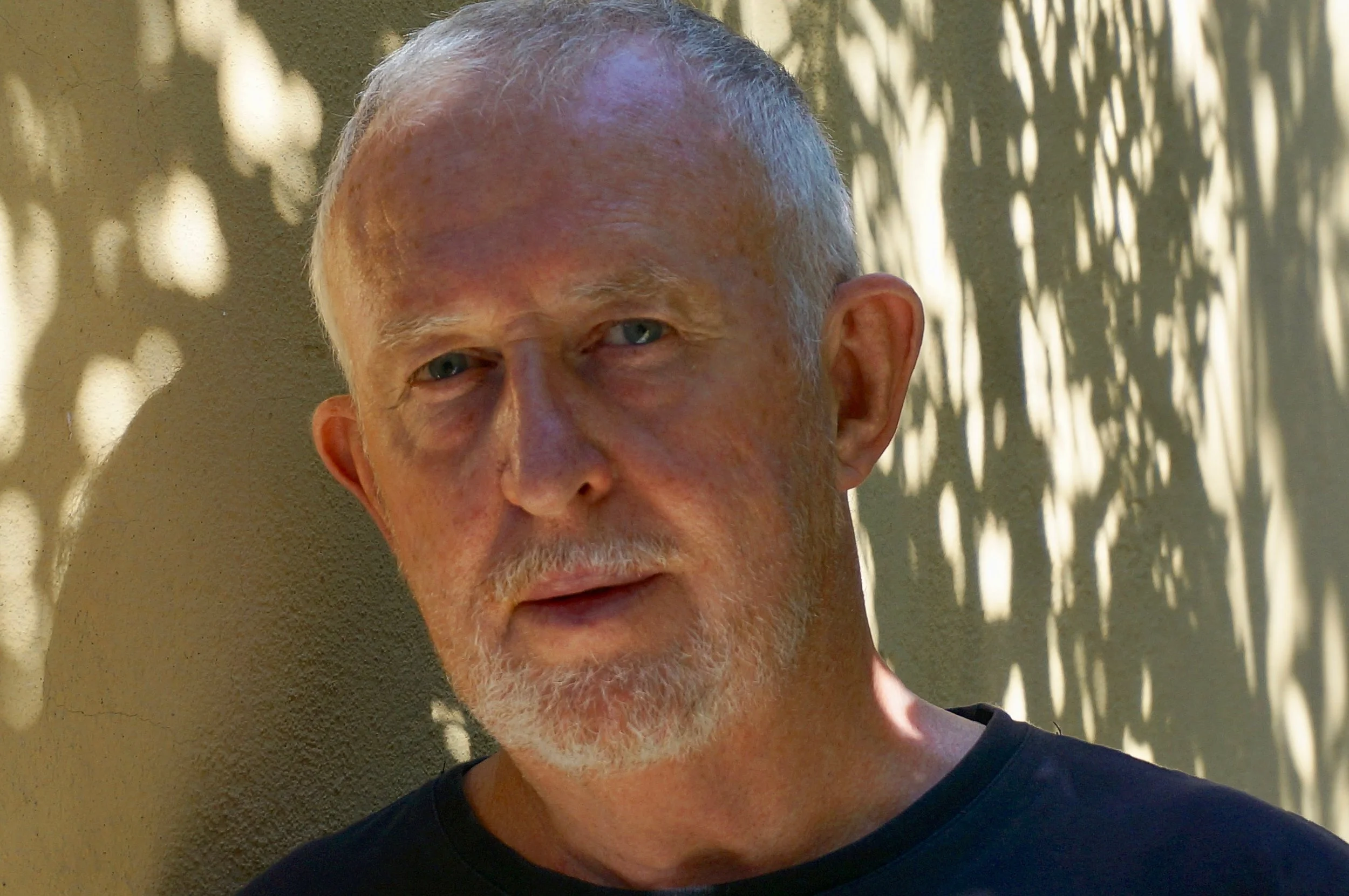 William Wall — NEW ISLAND BOOKS
