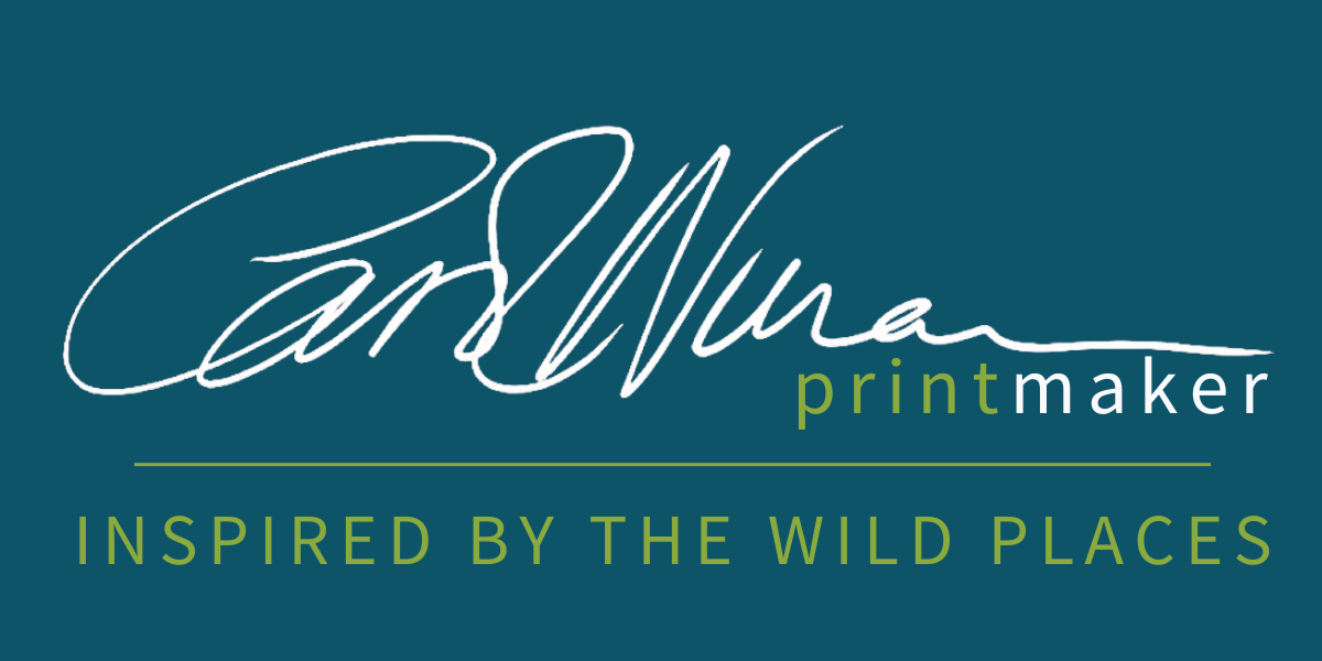 Welcome Carol Nunan Isle of Bute Printmaker