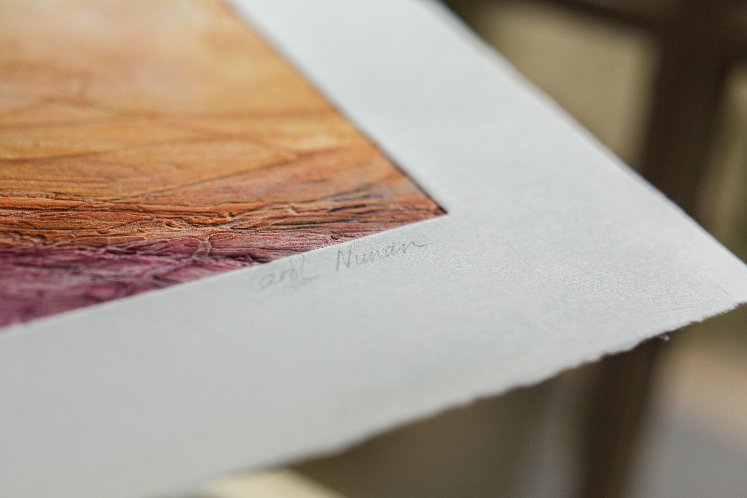 A Comprehensive Guide To Creating Your Own Print Collection — Carol Nunan